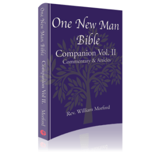 One New Man Bible Companion Volume IV | True Potential Media