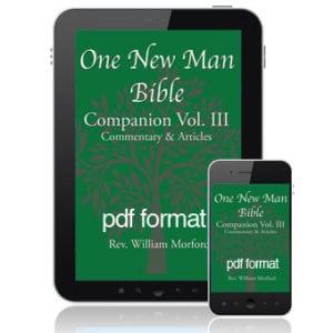 One New Man Bible Companion Volume IV | True Potential Media