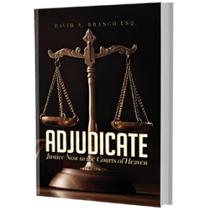 Adjudicate | True Potential Media